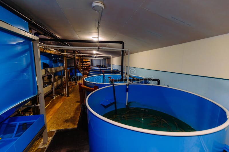 Round Water Basins with Automatic Feeding and Water Recirculation for ...