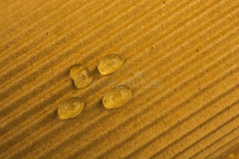 Round Water Drops in Close-up on Colorful Background Stock Image ...