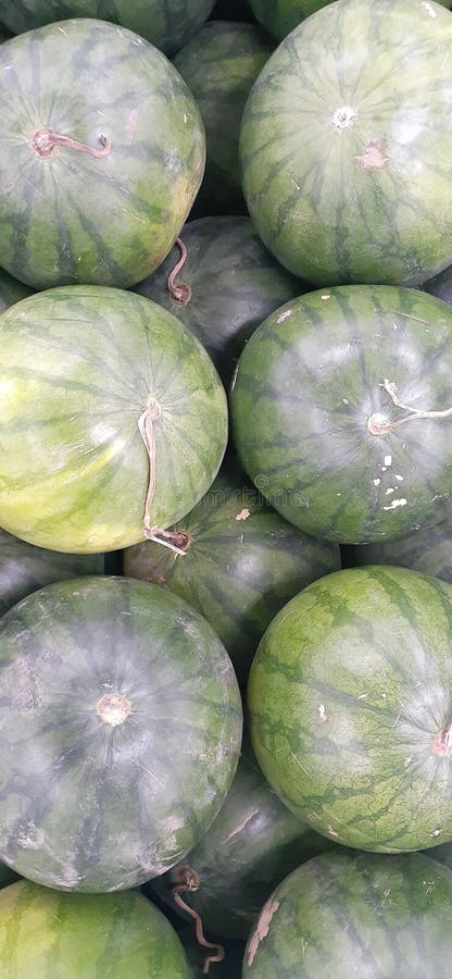 Round of watermelon stock photo. Image of orange, produce - 211318122