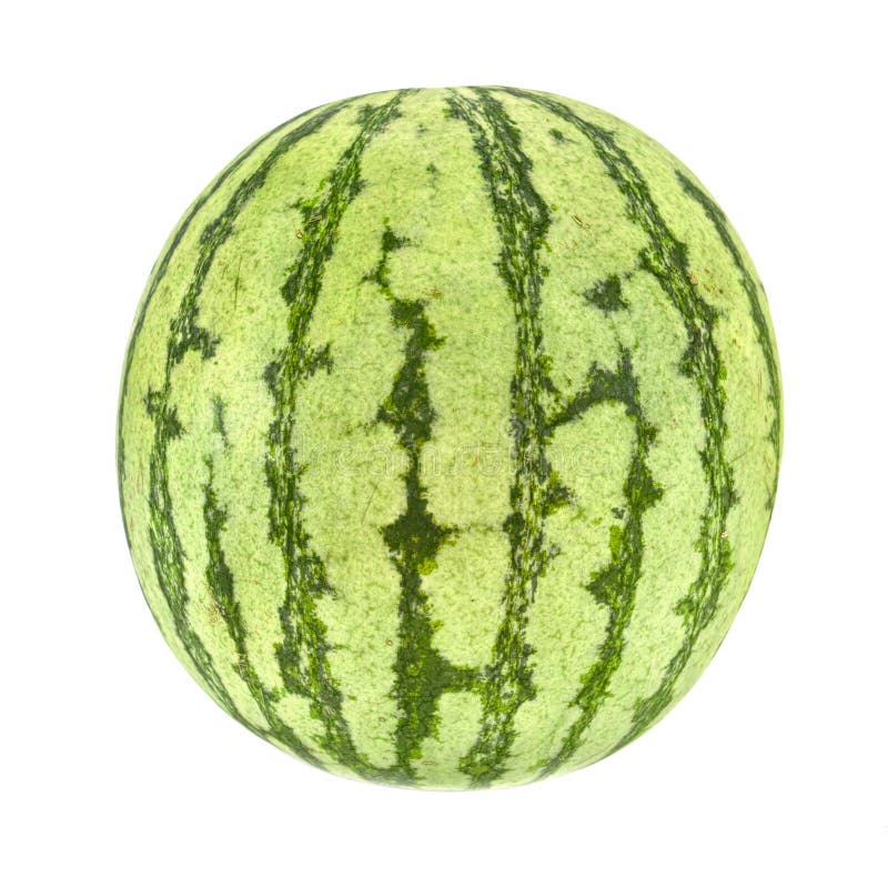 Round Watermelon stock photo. Image of organic, tasty - 43183662