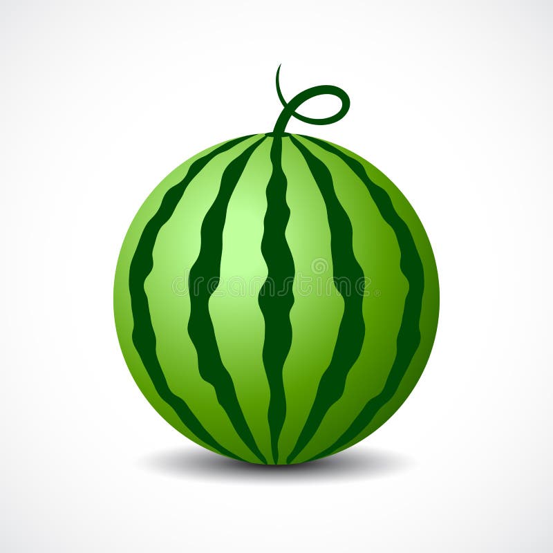 Watermelon vector icon stock vector. Illustration of label - 122548626