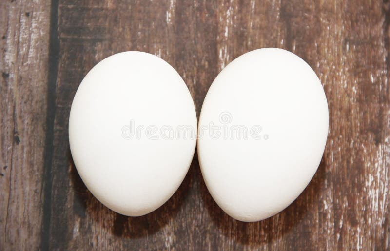 Round White Chicken Eggs with Hard Shells Stock Photo - Image of ...