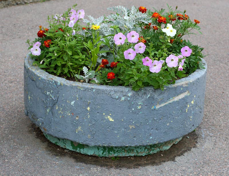 Round White Concrete Flowerbed with Flowers Stock Photo - Image of ...