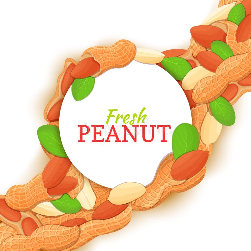 Peanut Card Stock Illustrations – 762 Peanut Card Stock Illustrations ...
