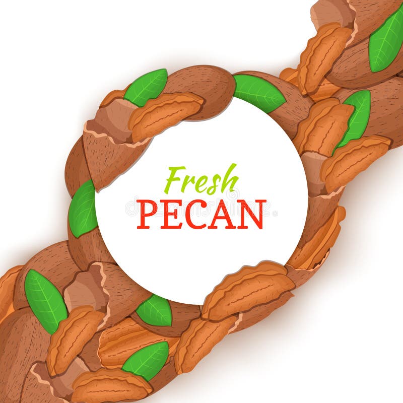 Round Whole Stock Illustrations – 23,800 Round Whole Stock ...