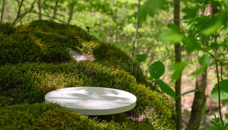 Round White Podium is Positioned on a Mossy Surface in a Forest Stock ...
