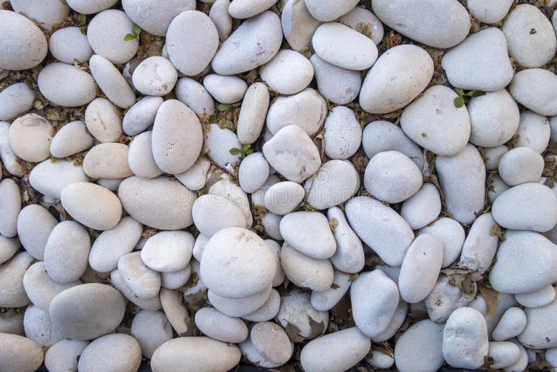 Round White Smooth River Rocks Clusted Together Stock Image - Image of ...
