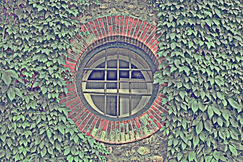 Round Window on Facade Covered by Green Creeper Stock Photo - Image of ...