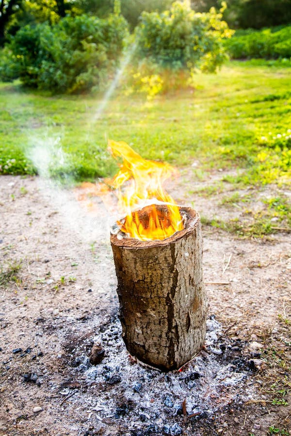 Round Wood Log with Chopped Out Middle and Side Hole for Burning Fire ...