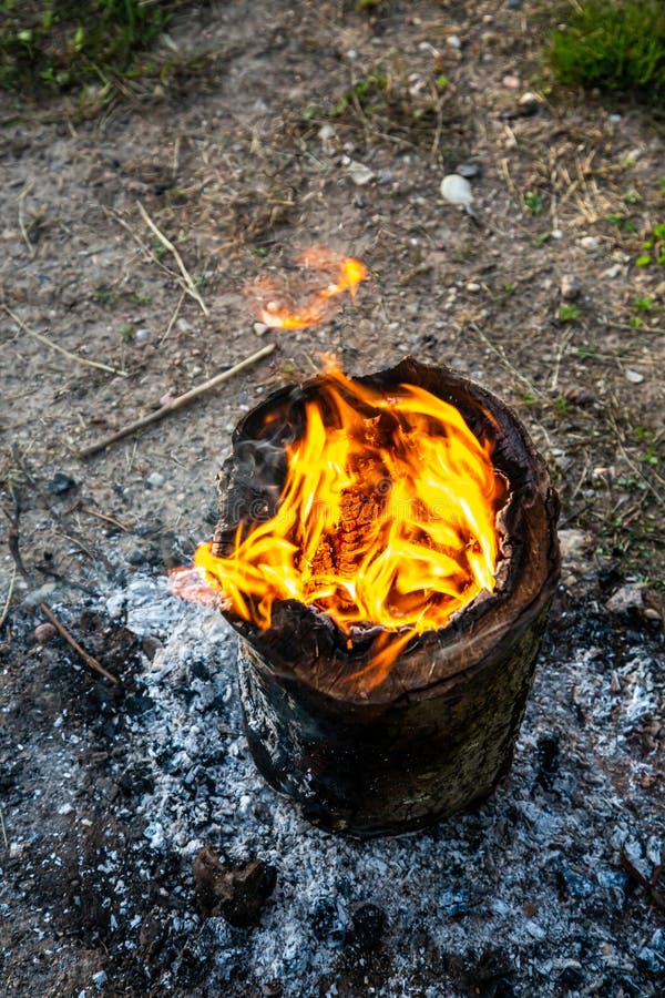 Round Wood Log with Chopped Out Middle and Side Hole for Burning Fire ...