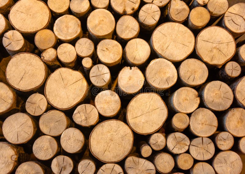 Round Wood Log Ends Natural Texture Backgound. Stock Image - Image of ...