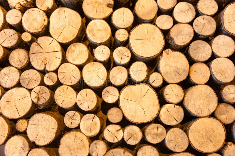 Round Wood Log Ends Natural Texture Backgound. Stock Photo - Image of ...