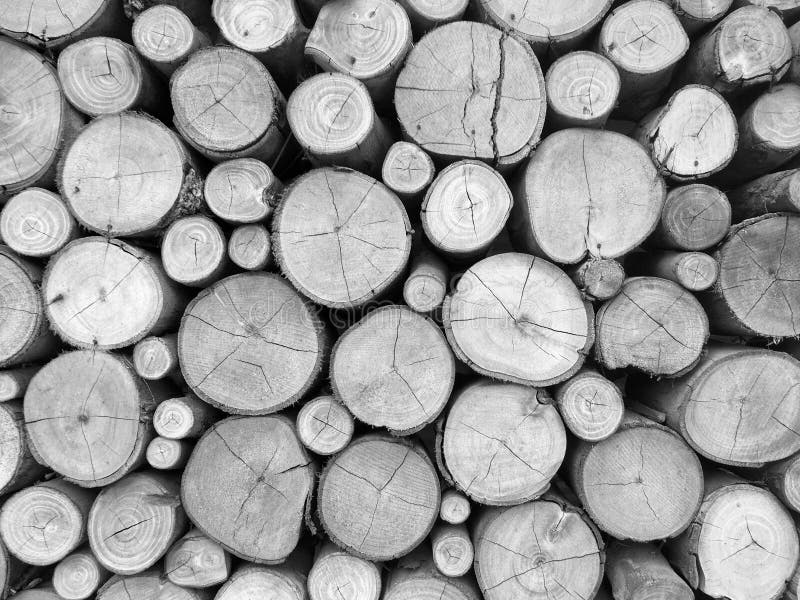 Round wood logs stock image. Image of logs, firewood - 78093931