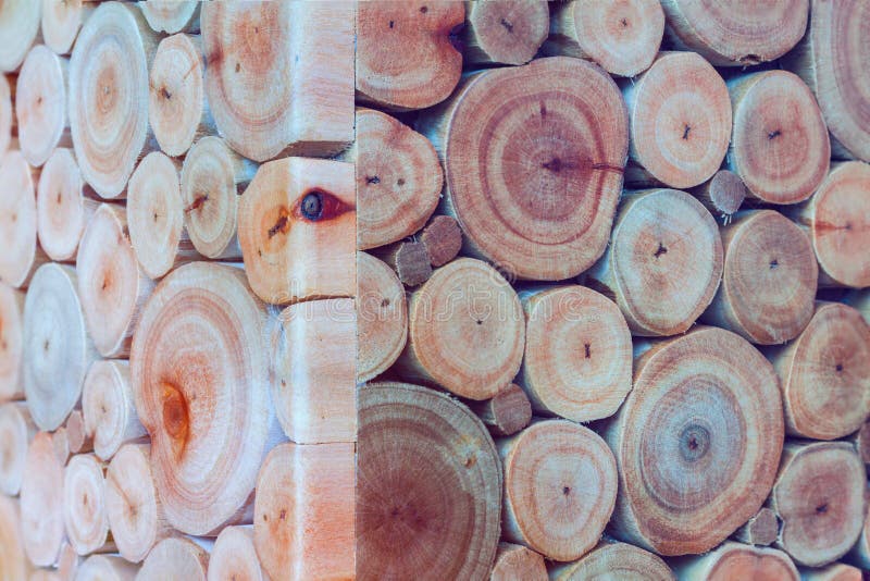 Round Wood Piece Sticked on the Wall Stock Image - Image of brown ...
