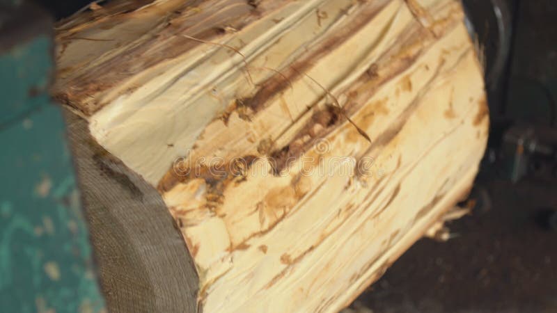 Round Wood Spinning on a Machine Stock Footage - Video of nature ...