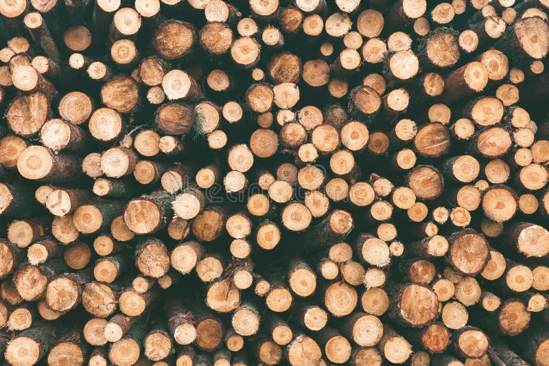 Round Wood, a Stack of Cut Trees. Sectional View from the End of the ...