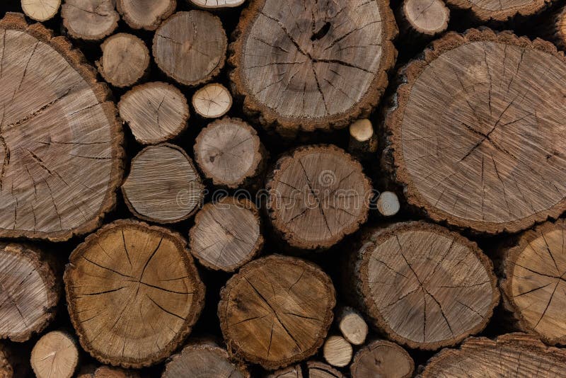 Round wood stem pattern stock photo. Image of wood, textured - 172326550