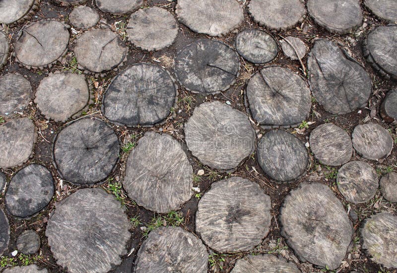 Round Wood Stump Background Stock Image - Image of round, lumber: 121791091