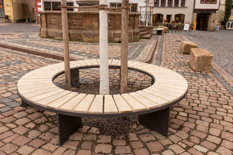 Round Wooden Bench Around the Tree Trunk Stock Photo - Image of brown ...