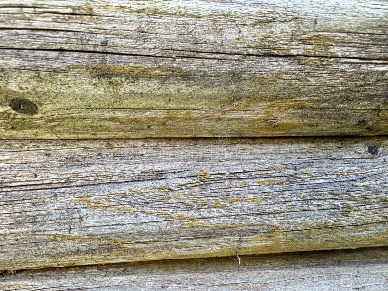 Round Wooden Planks Wall Texture Natural Circular Pattern Background ...