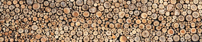 Round Wooden Slices, Background Texture. Panorama. High Detail Stock ...