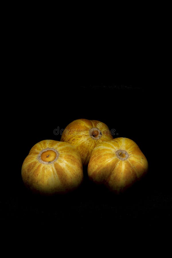 3 Round Yellow - Lemon Cucumbers Stock Image - Image of texture ...