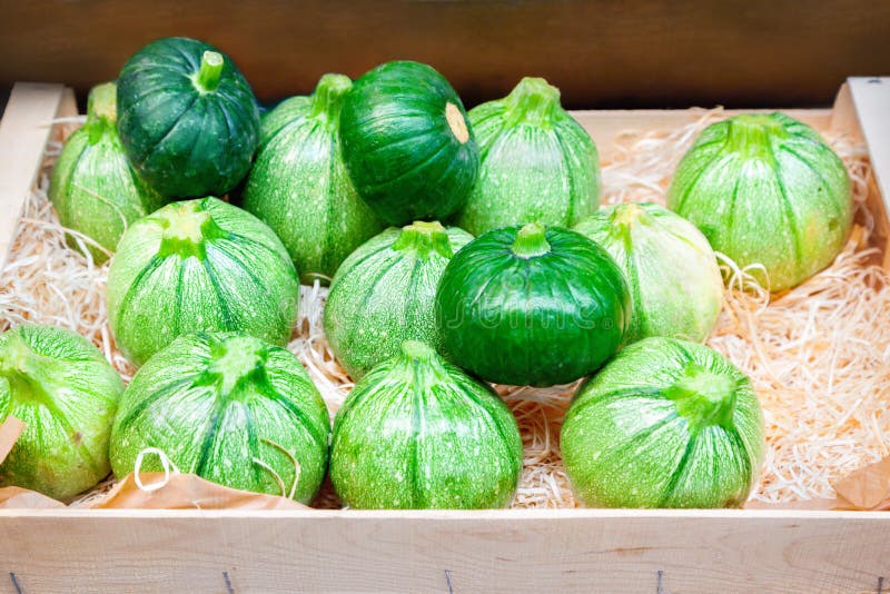 Round zucchini stock image. Image of cuisine, round, nature - 90765523