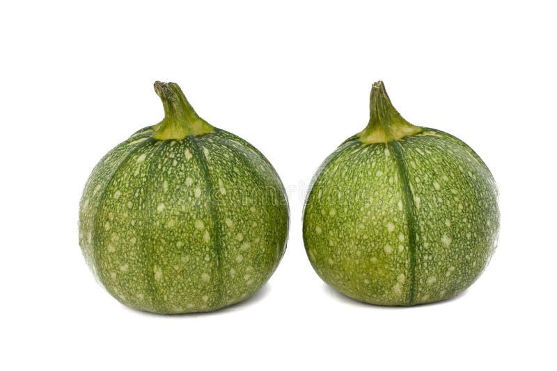 Round Zucchini Isolated stock image. Image of food, background - 17314157