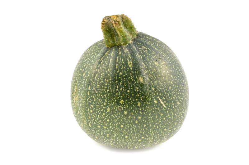 Round Zucchini on a White Background Stock Image - Image of sweet ...