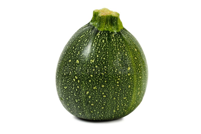 Round zucchini on white stock photo. Image of round - 122613286