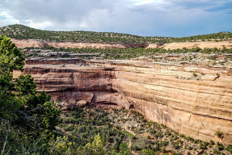Rounded stock image. Image of bushes, scenic, colorado - 100475351