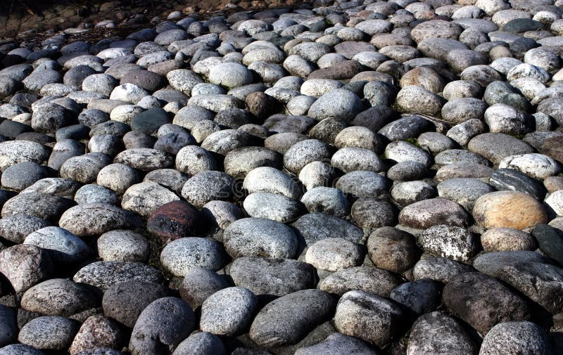 Rounded Pebbles on the Beach. Beige Pebbles on the Beach and Stone ...