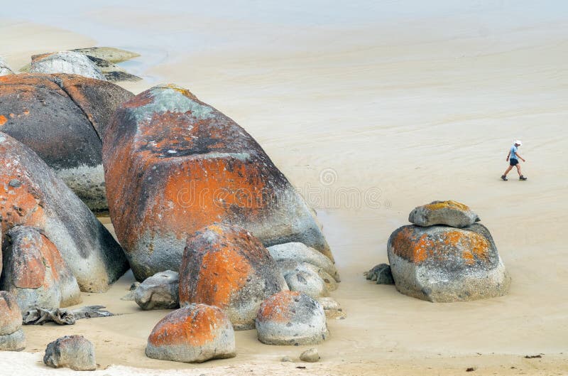 Rounded Red Boulders in Wilsons Promontory - Squeaky Beach Stock Image ...