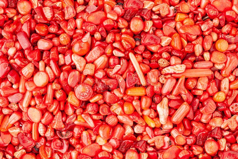 Rounded Red Coral Background Stock Photo - Image of macro, abstract ...