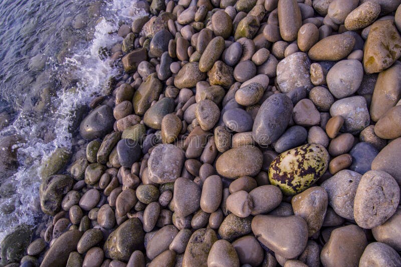 Rounded stones and beach stock photo. Image of pattern - 189706442