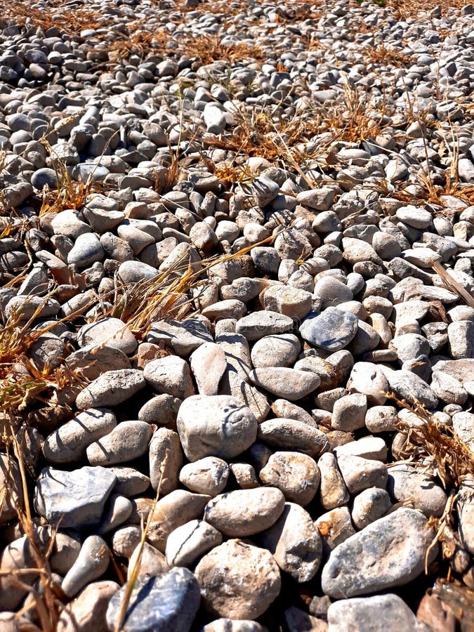 Rounded stones by the lake stock image. Image of pebble - 232828731