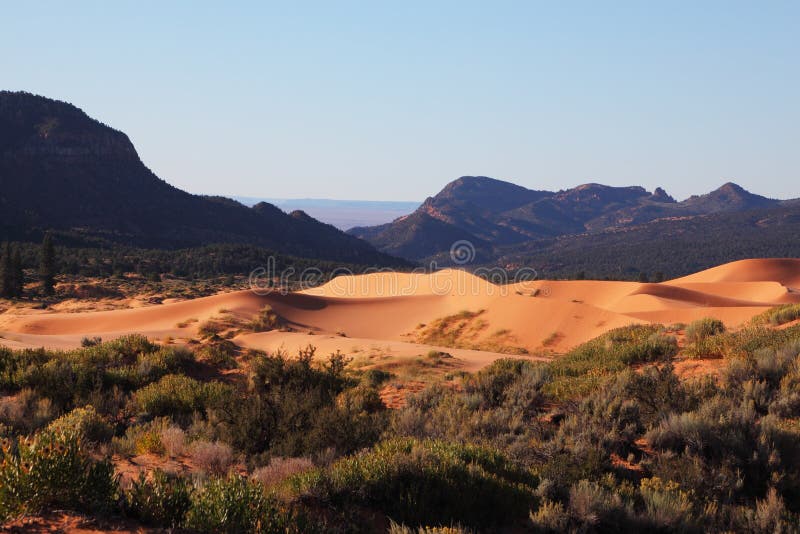 Roundish Forms of Sandy Dunes Stock Image - Image of landscape, terrain ...