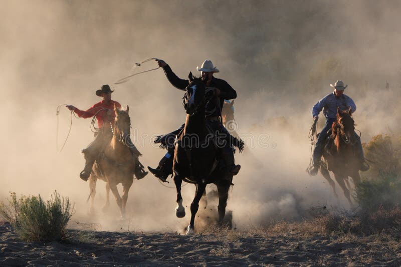 The Roundup stock photo. Image of saddle, herding, tack - 12597472