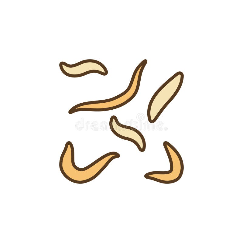 Roundworm Infection Vector Ascarids Concept Colored Icon Stock ...