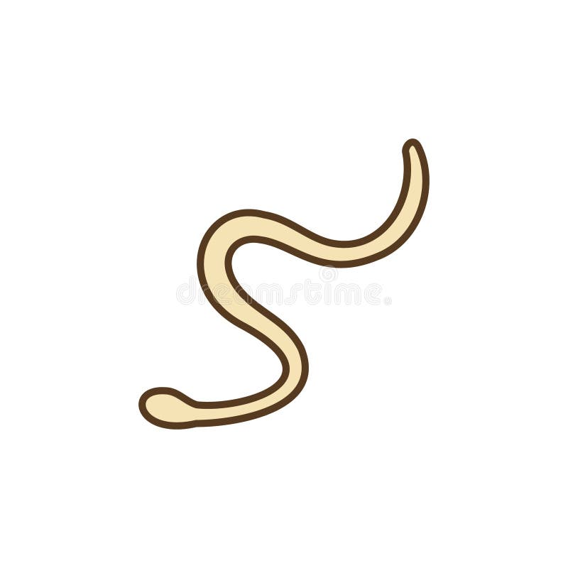 Roundworms Concept Vector Colored Icon or Sign Stock Vector ...