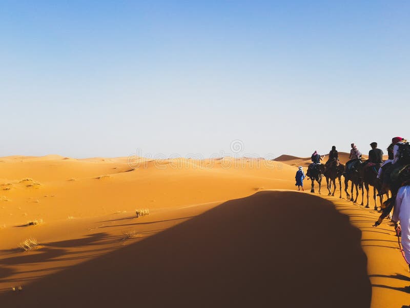 Route by camel stock photo. Image of route, camels, camel - 93543850