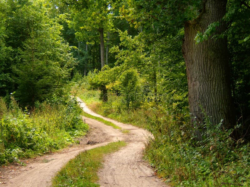 Route De Campagne D'enroulement Photo stock - Image du beauté ...