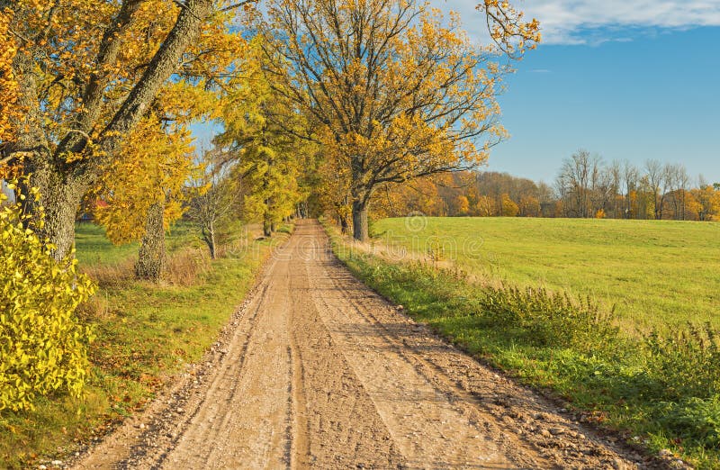 Route De Campagne D'automne, Lettonie Image stock - Image du orange ...