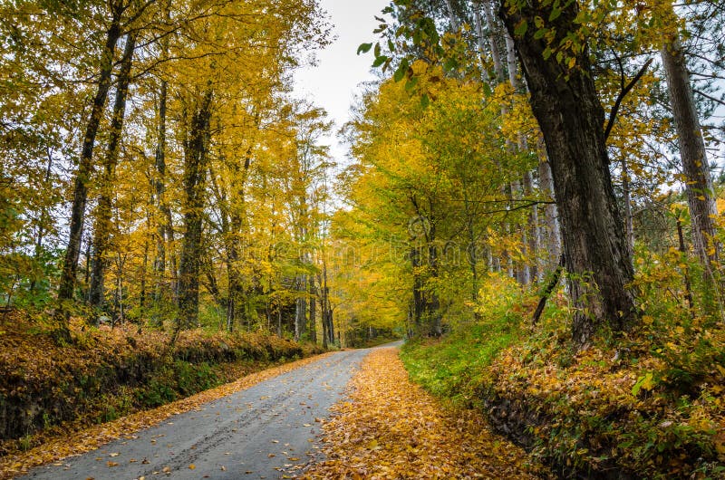 Route De Campagne En Automne Photo stock - Image du vermont, neuf: 6989574