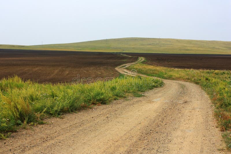 Route De Campagne De Terre Dans Un Champ Vert Image stock - Image du ...