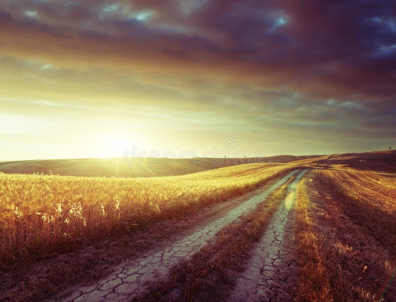 Route Et Journée Ensoleillée Image stock - Image of asphalte, horizon ...