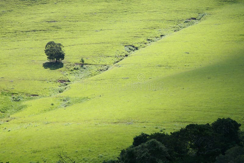 Route de Maloti photo stock. Image du poissons, beauté - 2067968
