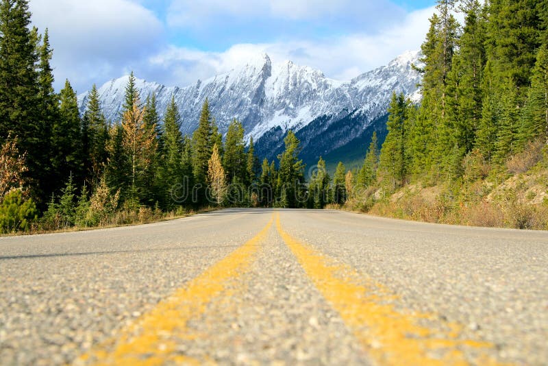 Route de montagne image stock. Image of jaspe, rocheuses - 11551271