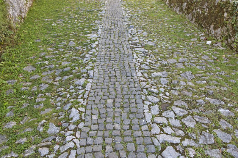 Ancienne route pavée photo stock. Image du route, arbres - 19402626