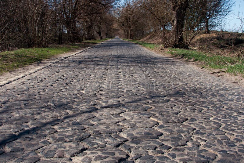 Ancienne route pavée photo stock. Image du route, arbres - 19402626